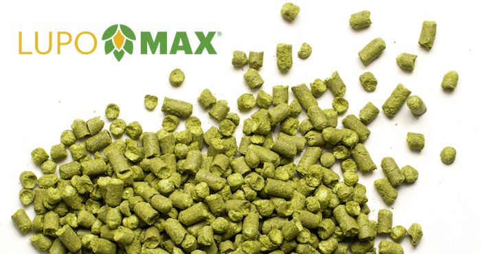 Brewers’ Spotlight: Brewing with LUPOMAX™ | HAAS®