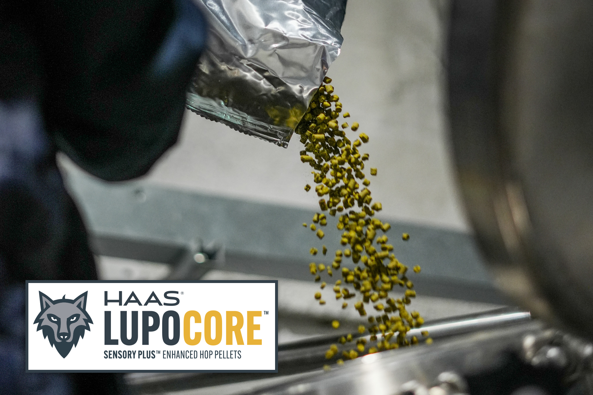 The Future of Hop Pellets Has Arrived: Introducing the Lupo Series™ | Haas